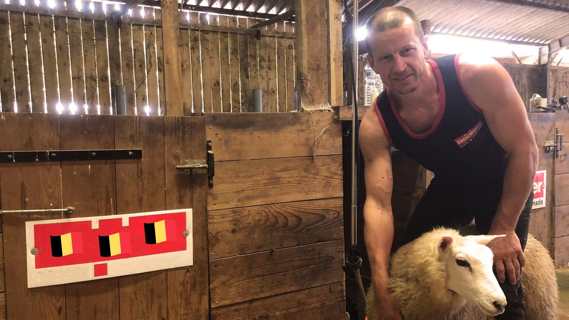 Belg doet mee aan het WK schapen scheren - Joe Belg doet mee aan het WK schapen scheren - Joe